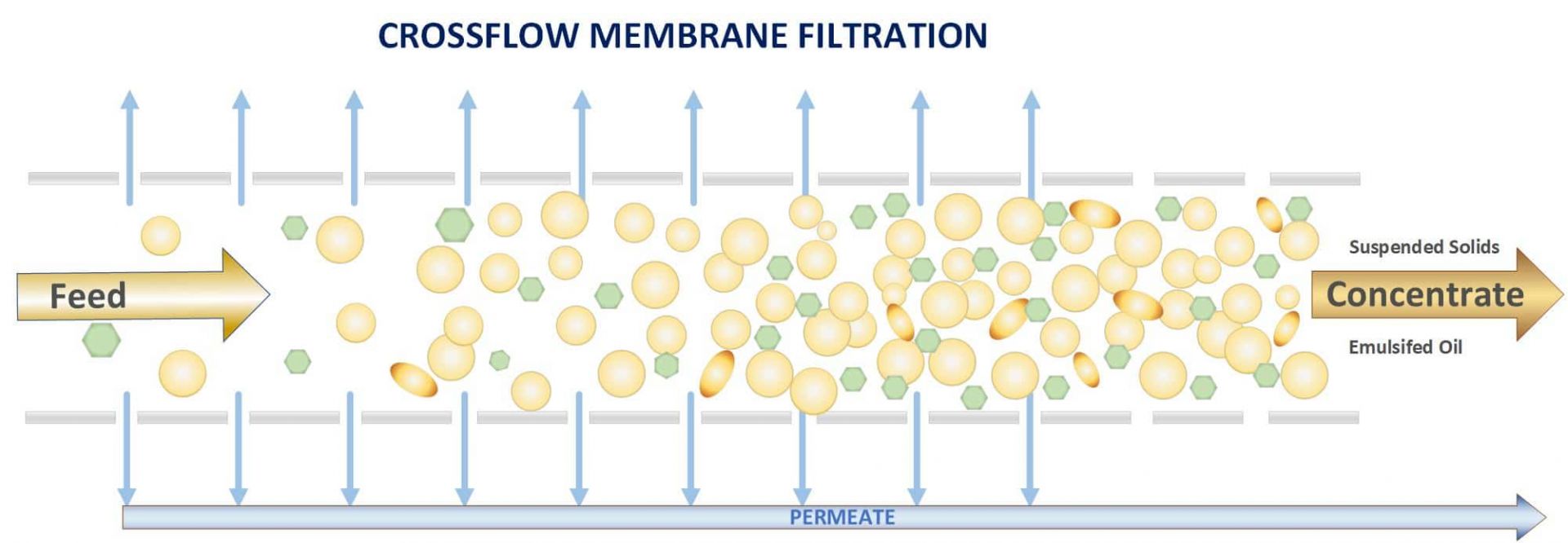 Membrane Systems - Sanborn Technologies